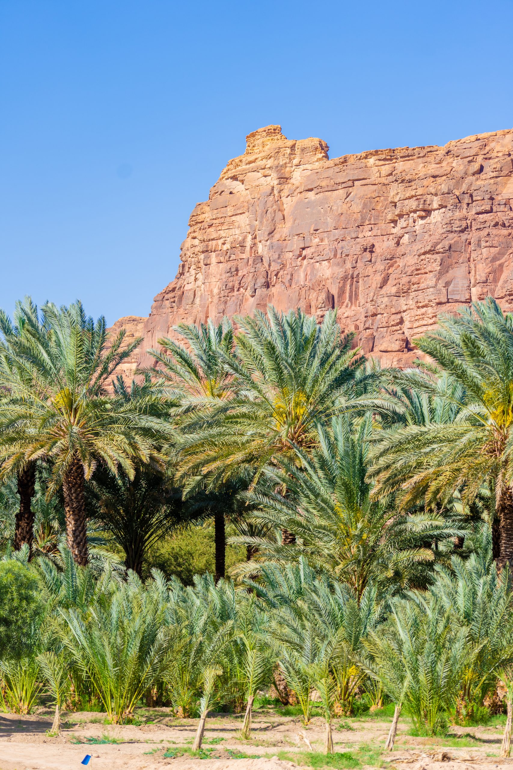 Exploring Saudi Arabia: A Journey Through AlUla - Costin Busioc